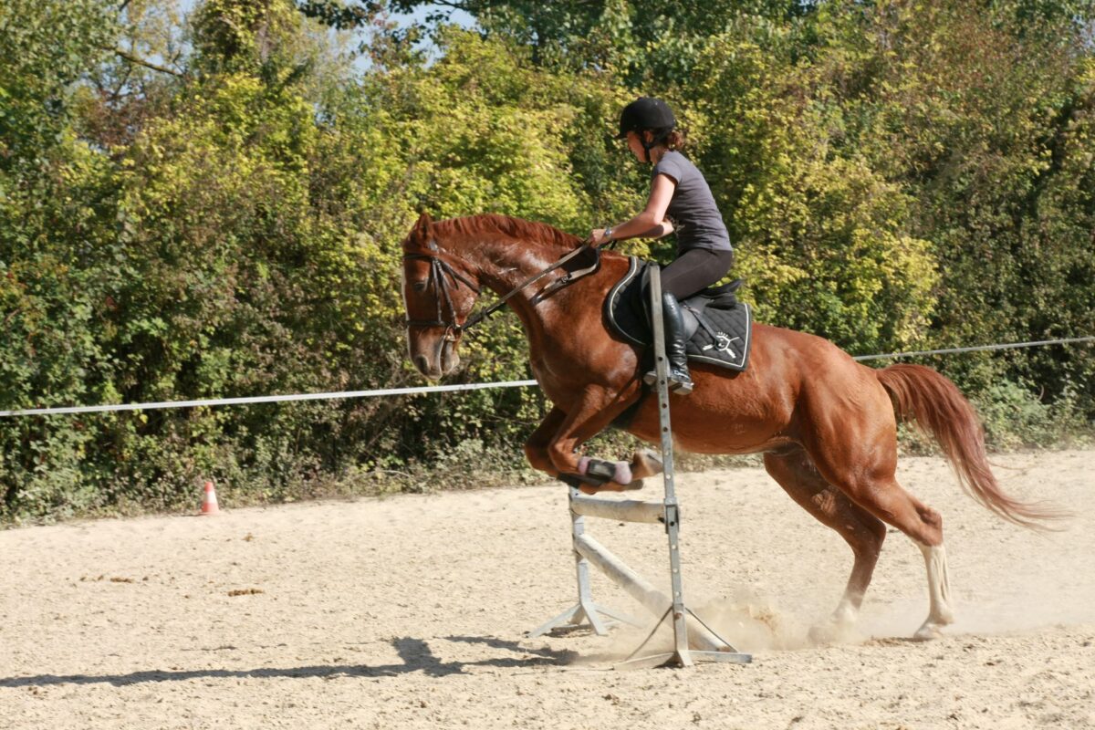 Île de loisirs du Val de Seine - Verneuil-Sur-Seine